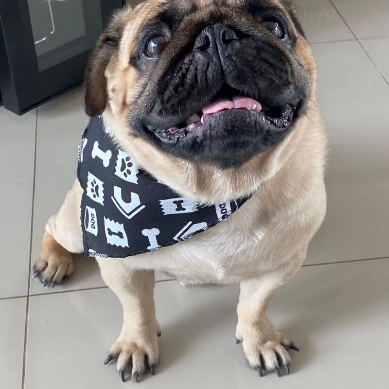 Em prol de uma cirurgia do CHICO